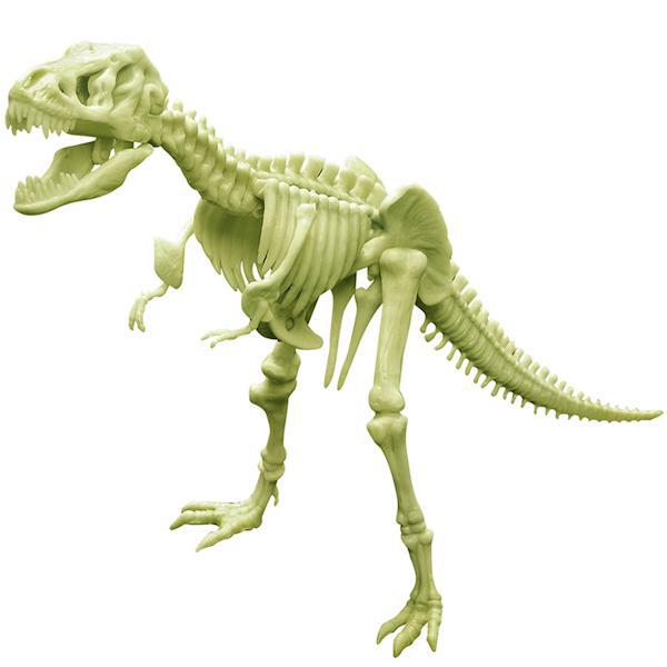 Sci Bits Glow T Rex Skeleton in Tube