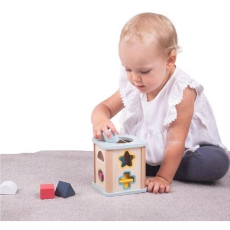 Shape Sorter