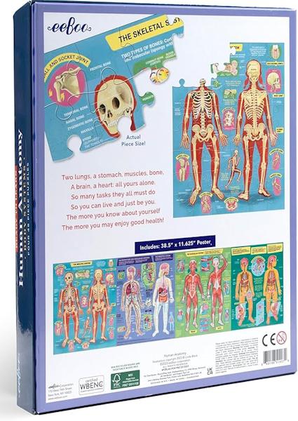 Puzzles : Human Anatomy 4 x 48 Piece Puzzle Set