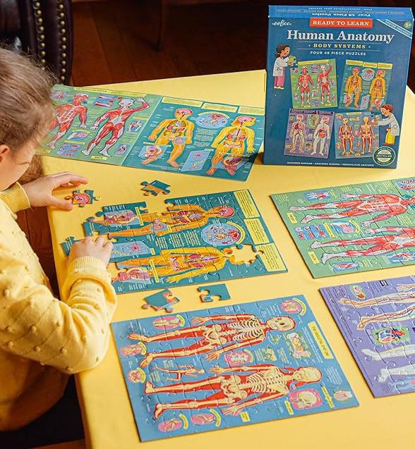 Human Anatomy 4 x 48 Piece Puzzle Set