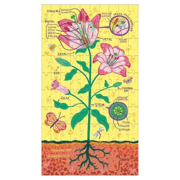 Plant Anatomy Science Puzzle Set