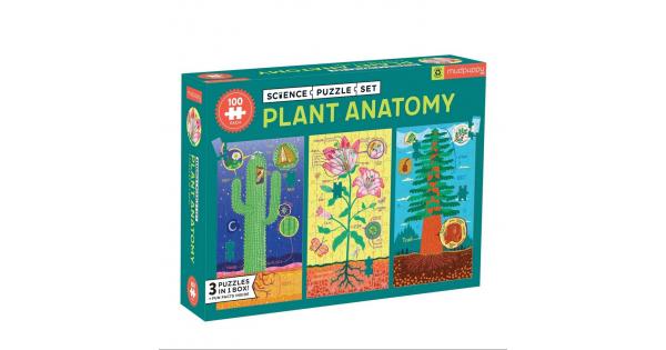 Plant Anatomy Science Puzzle Set