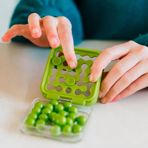 IQ Mini Brain Teaser Game