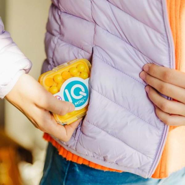 IQ Mini Brain Teaser Game